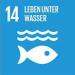 Nachhaltigkeitsziele (SDGs) - SDSN Schweiz
